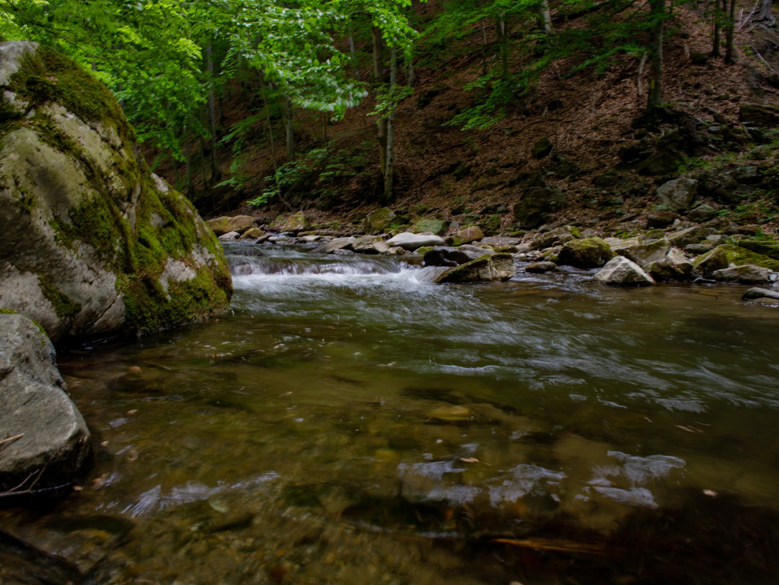 Râul Vâlsan - Cheile Valsanului